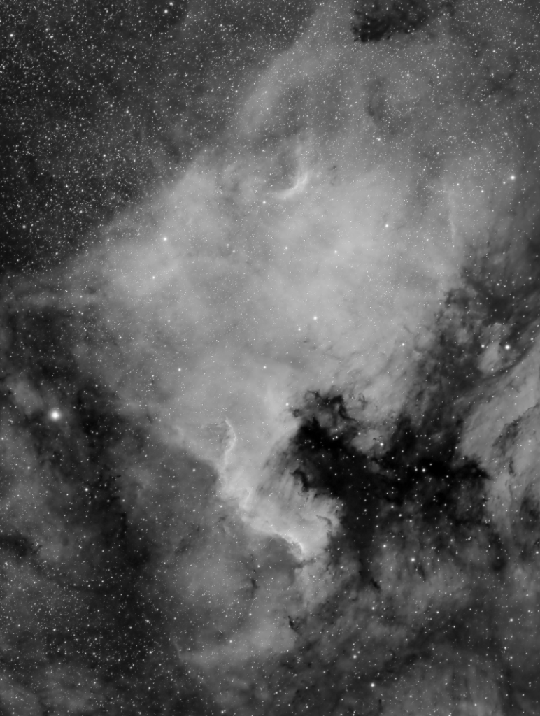 A visit of Cygnus the swan – Erellaz