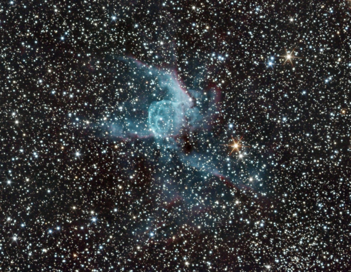 Thor’s helmet – Erellaz